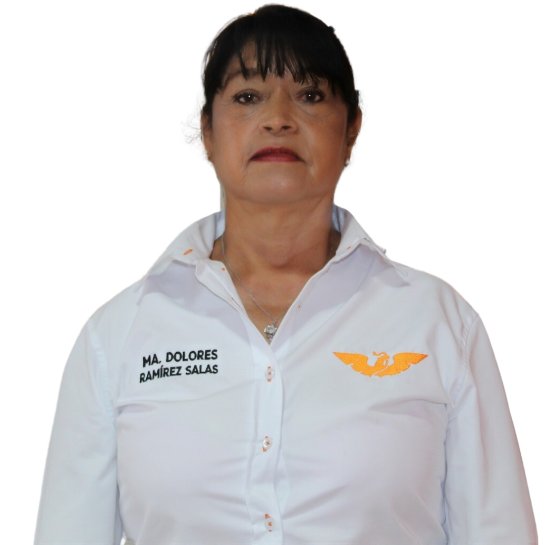 Secretarias y Delegaciones - Movimiento Ciudadano